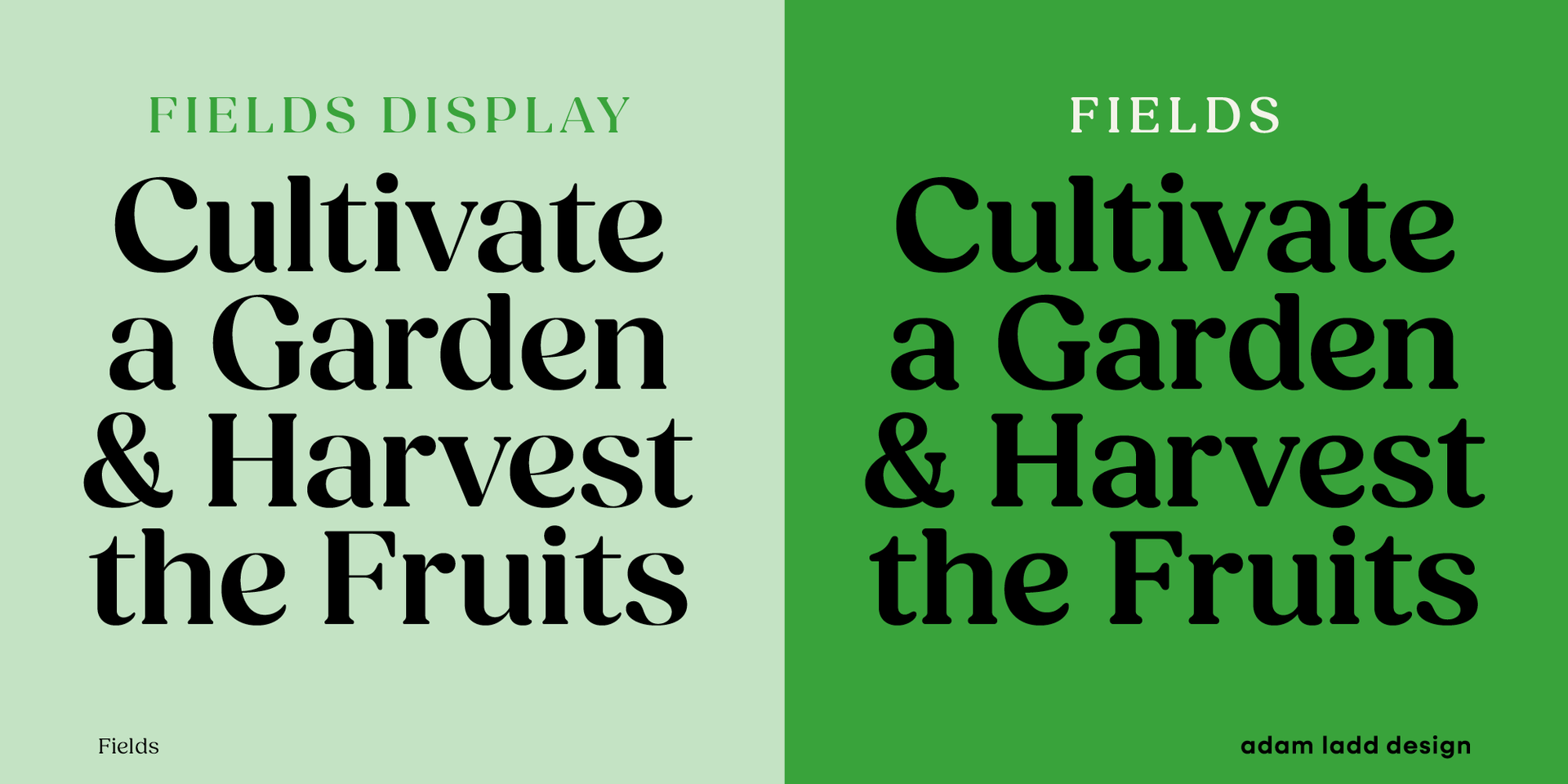Adam Ladd Design - Type Design, Fonts, Graphic Design - Fields Font Family